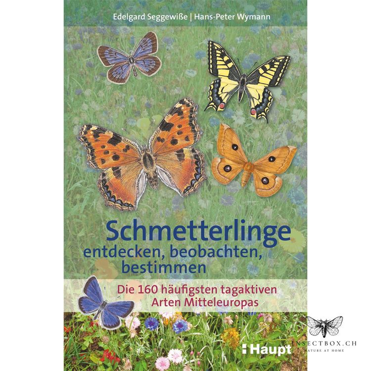 Schmetterlinge entdecken, beobachten, bestimmen (Neu und originalverpackt) in Ostermundigen für ...