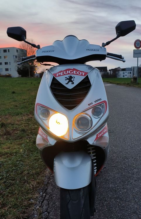 Peugeot Speedfight 2, 50ccm Lc 06 WRC 206 Replica Scooter (Gebraucht ...