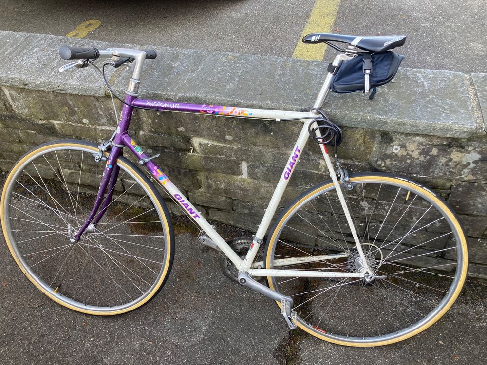 Giant Vintage Rennvelo Peneton Lite (Gebraucht) in Nebikon für CHF 102 ...