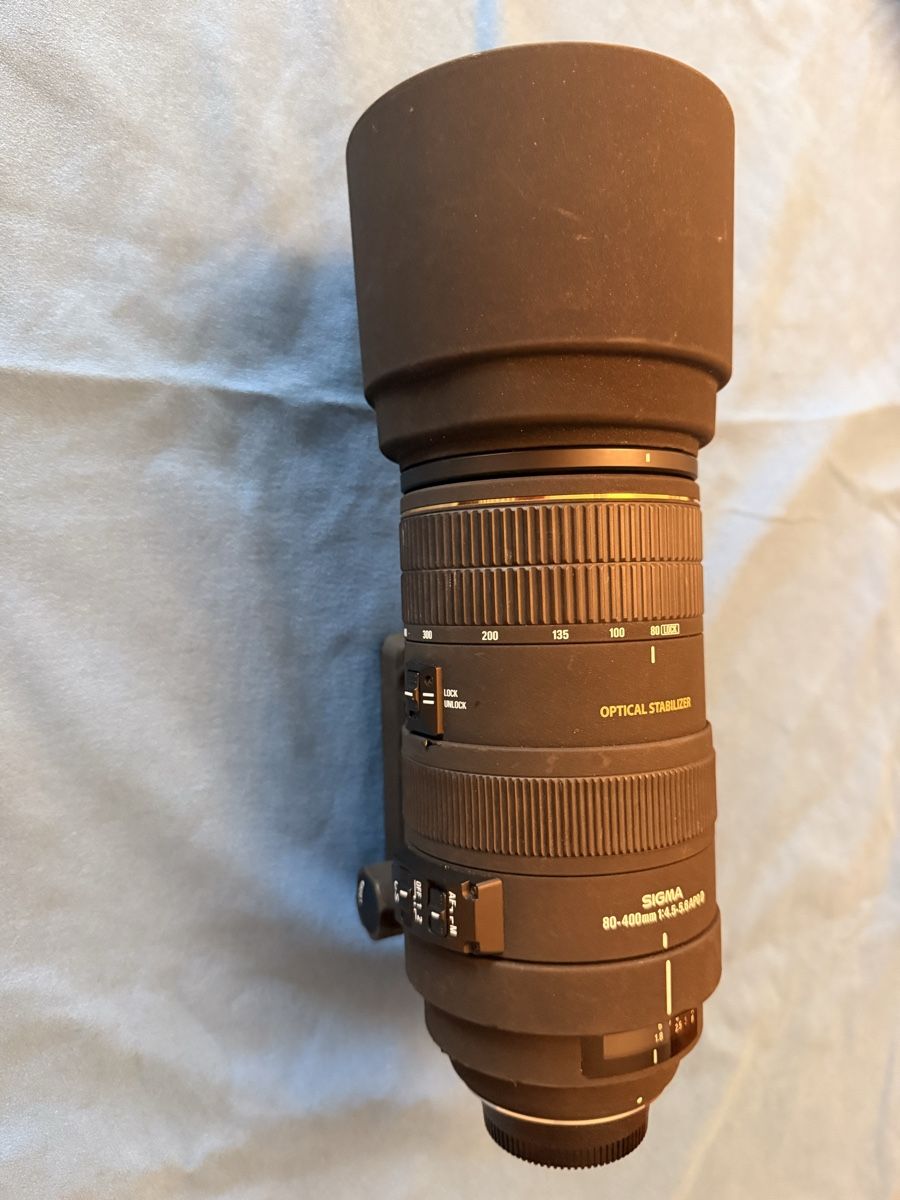 Sigma 80-400mm Objektiv, für Nikon F, ideal für Tierfotos! (Gebraucht ...