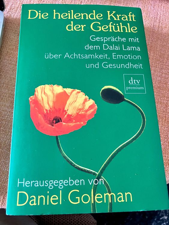 Die Heilende Kraft der Gefühle - Daniel Goleman - Taschenbuc (Gebraucht) in Basel für CHF 3 ...