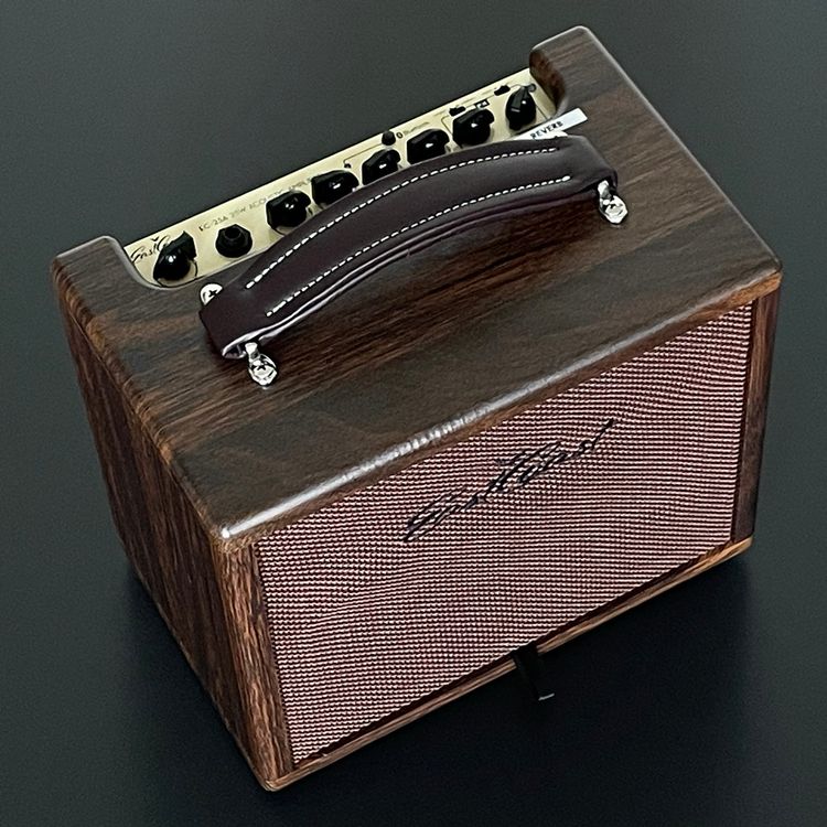 AB 1 FRANKEN** ACOUSTIC AMPLIFIER ** AKUSTIK VERSTÄRKER 25W (Neu ...