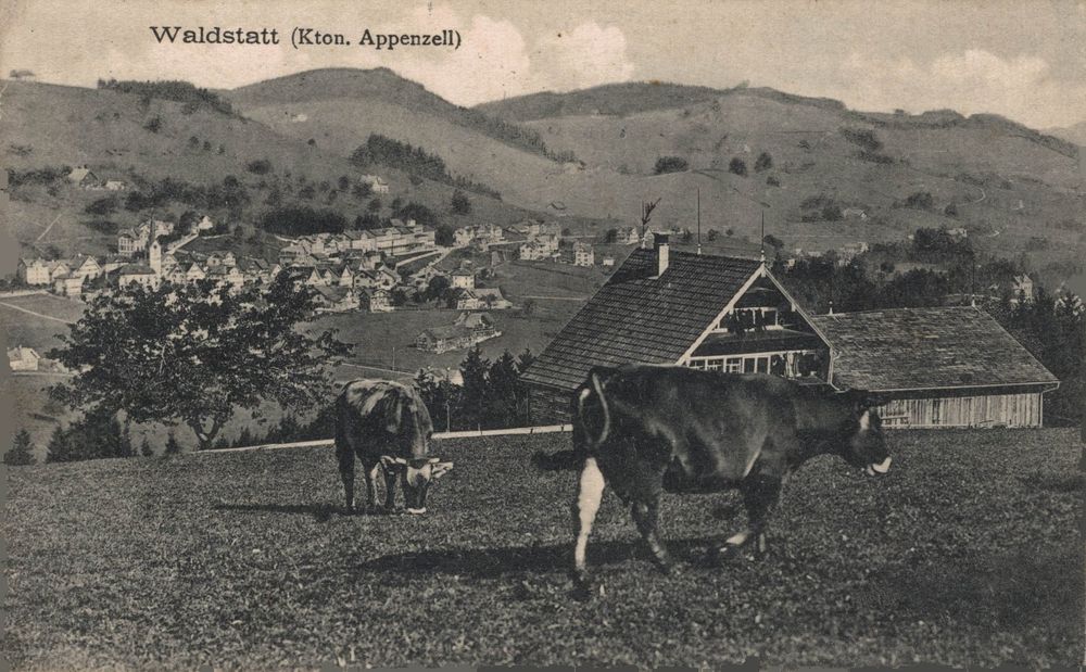 Waldstatt (Kton Appenzell), Bauernhaus und Kühe (Gebraucht) in Bronschhofen für CHF 10 – mit ...