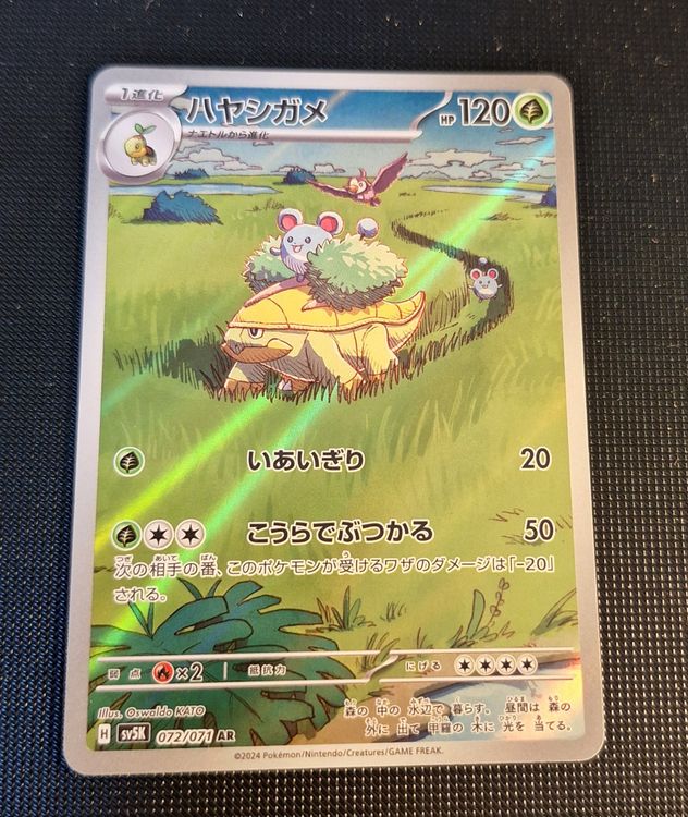 Grotle 072/071 SV5K AR Wild Force Japanese Pokemon | Kaufen auf Ricardo