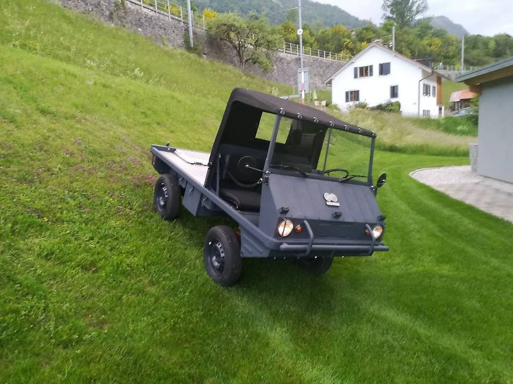 Haflinger série 2 (Gebraucht) in albeuve für CHF 24900 – nur Abholung auf Ricardo kaufen