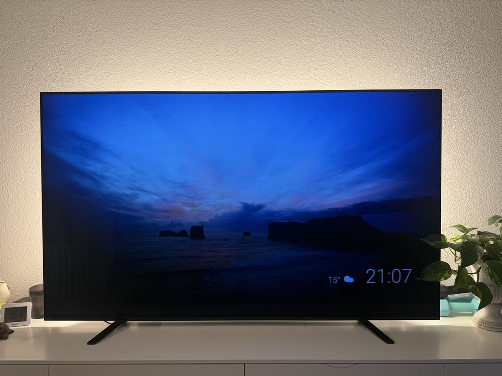 Sony OLED TV 65 Zoll (Gebraucht) in Nidau für CHF 500 – nur Abholung ...