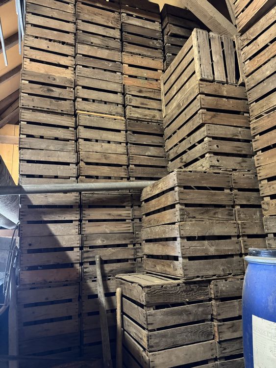 Holz Kisten (Gebraucht) in Golaten für CHF 100 – nur Abholung auf ...
