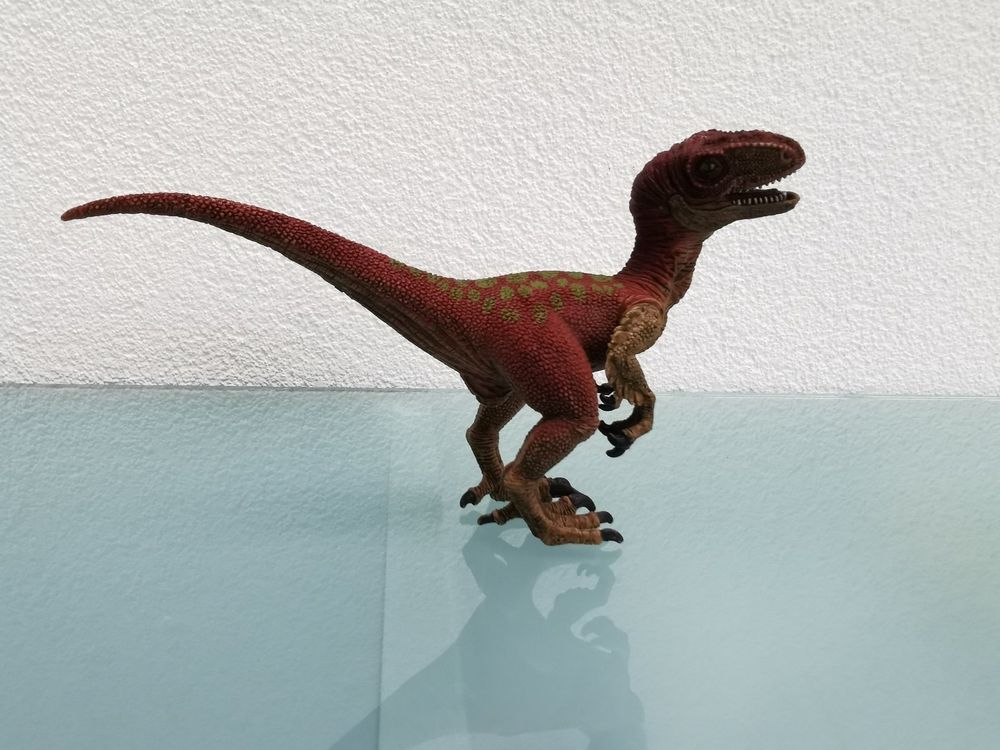 Velociraptor von Schleich | Kaufen auf Ricardo