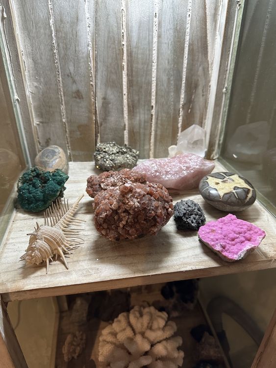Mineraliensammlung, Kristalle, Wüstenrose, Koralle 🐚 | Kaufen auf Ricardo