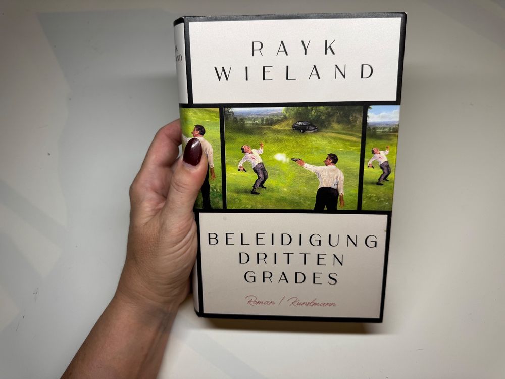 ROMAN: Rayk Wieland, Beleidigung dritten Grades (Gebraucht) in ...