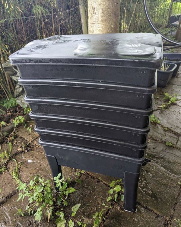 Worm compost box worm café (Gebraucht) in Wittinsburg für CHF 60 – mit ...