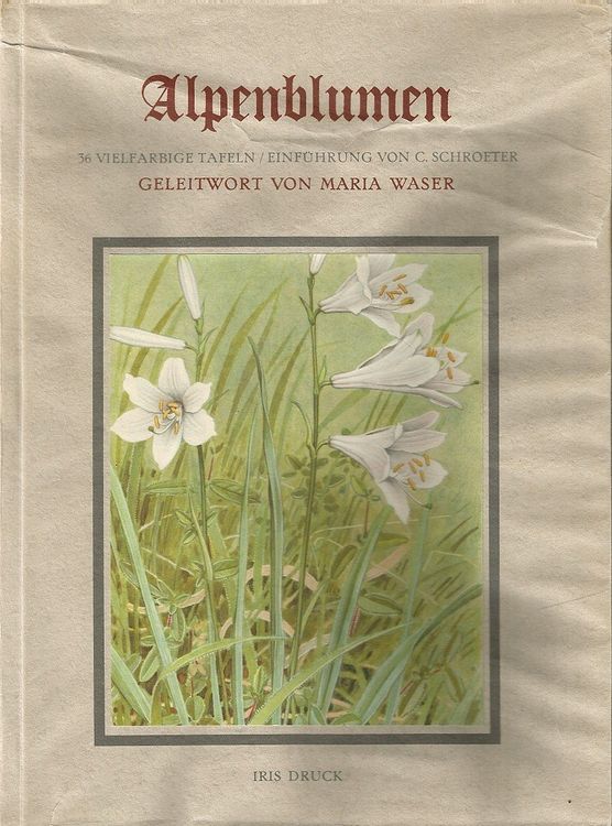 Alpenblumen von Carl Schroeter 36 Farbtafeln 1938 (Gebraucht) in Bern ...