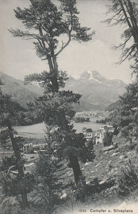 Campfer und Silvaplana | Kaufen auf Ricardo