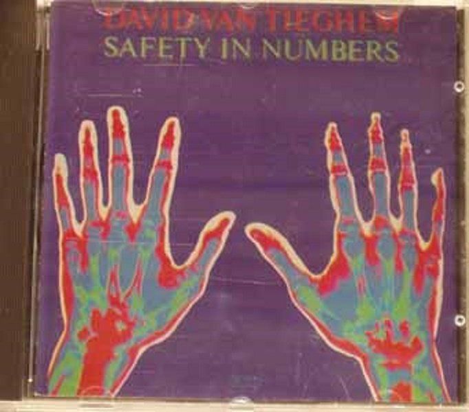 David VAN TIEGHEM Safety in numbers (Gebraucht) in Boussens für CHF 3.6 ...