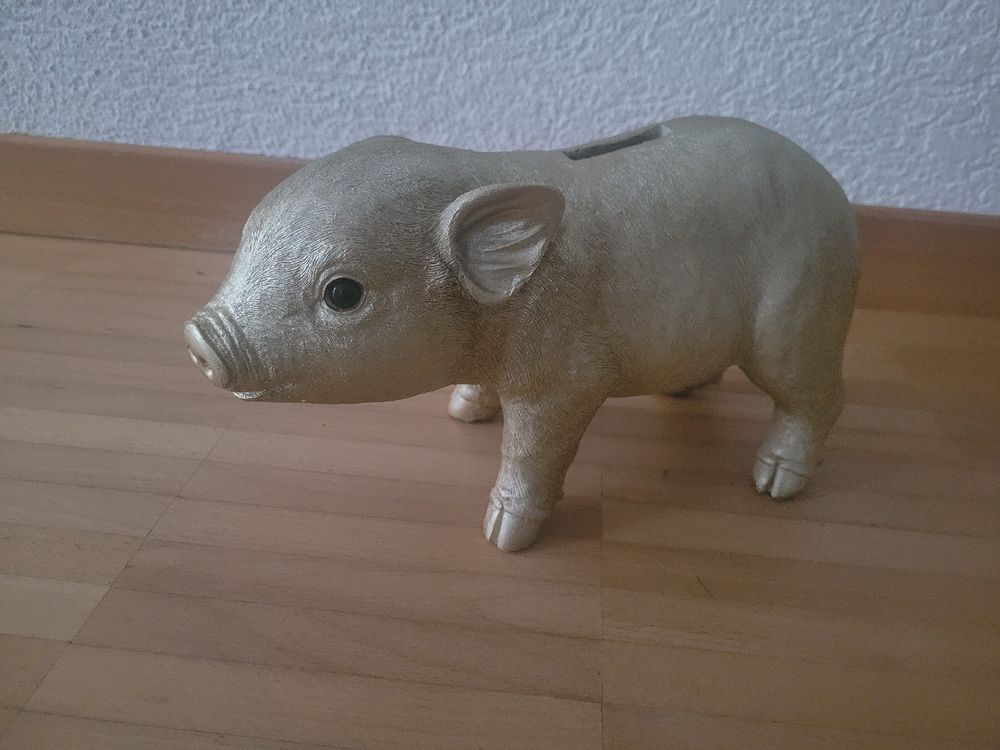 Süsses grosses Sparschwein Ferkel Spardose Schwein gold (Neu (gemäss ...