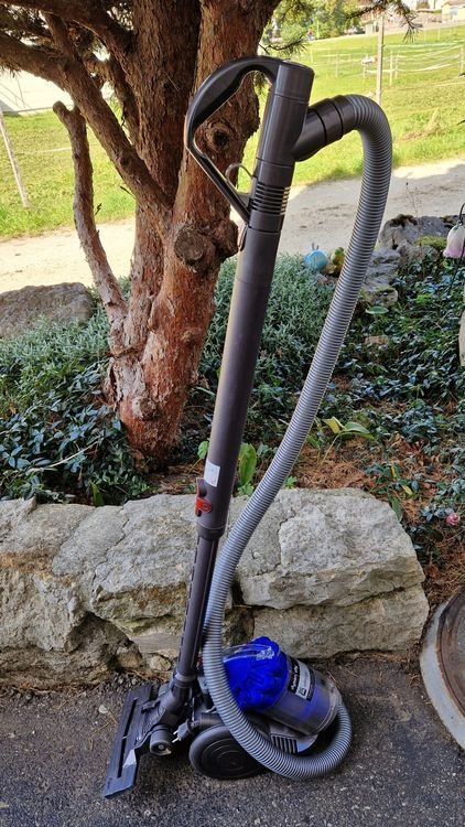 Dyson City Allergy DC26,Staubsauger klein/leicht,inkl. Set (Gebraucht ...