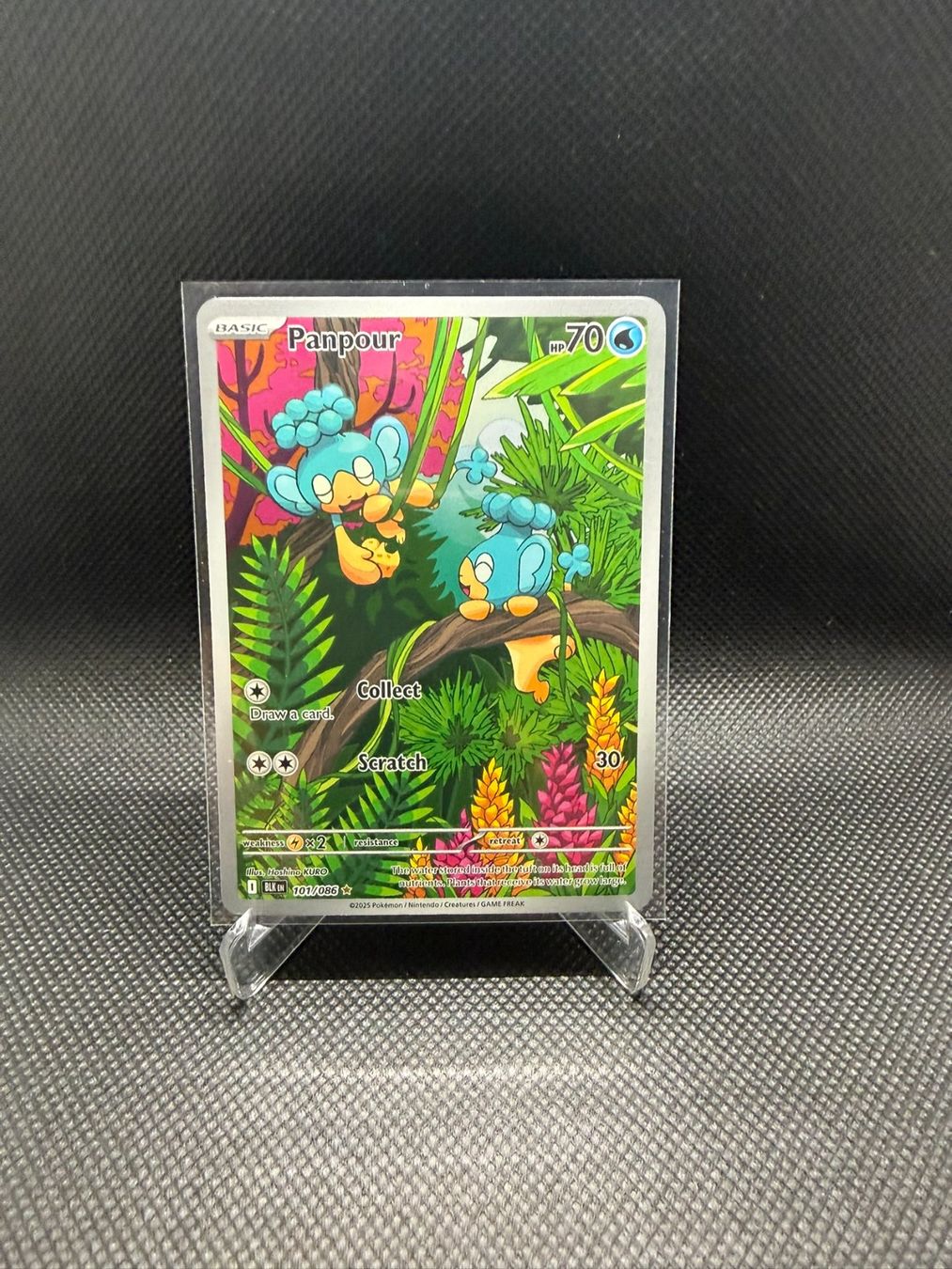 Pokemon Black Bolt Panpour Illustration Rare 101/086 (Gebraucht) in ...