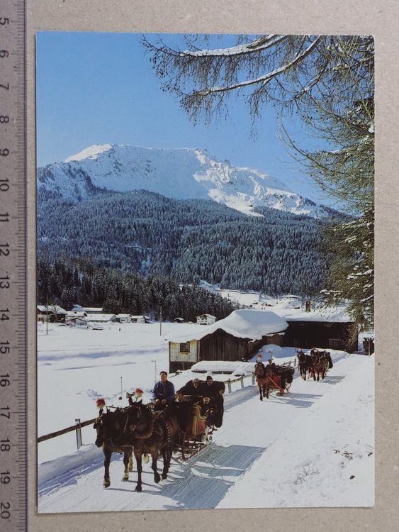 Klosters, Pferdeschlittenfahrt, Gotschnagrat, 1984, belebt | Kaufen auf Ricardo