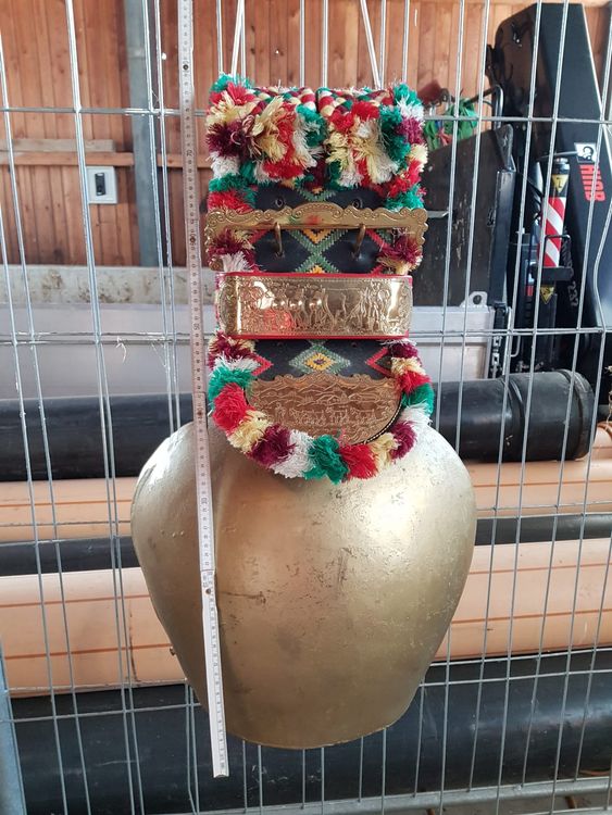 Appenzeller Treichel (Gebraucht) in Waltalingen für CHF 250 – mit ...