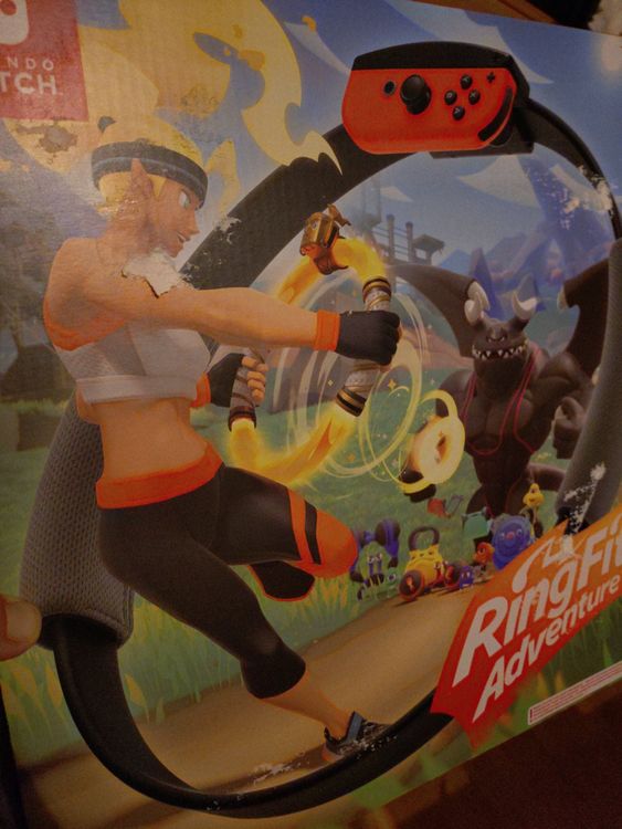 Nintendo Switch:Ring Fit Adventure & Ring (Gebraucht) in Chur für CHF ...