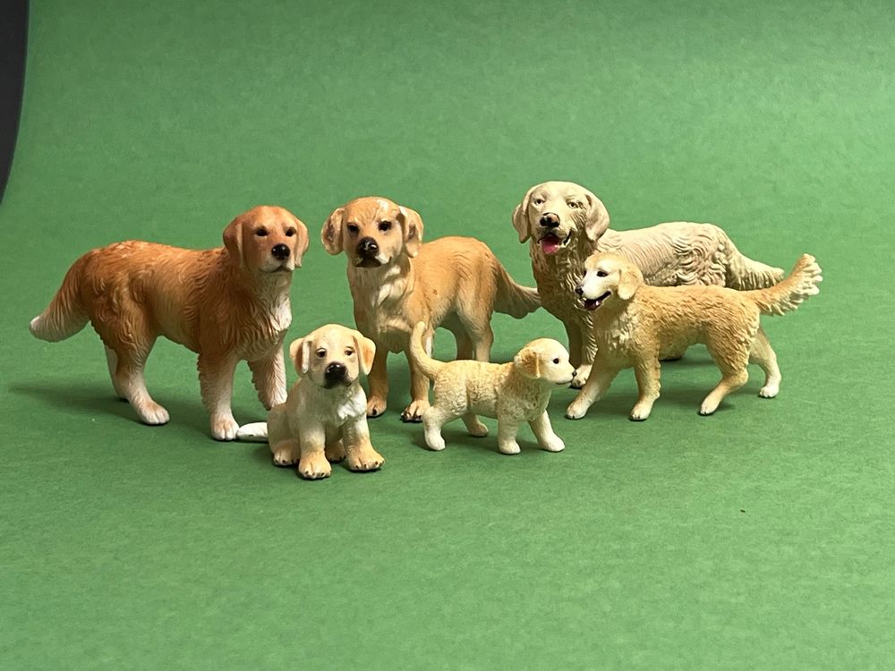 Schleich Golden Retriever Hund Hunde Rüde Welpe Welpen | Kaufen auf Ricardo