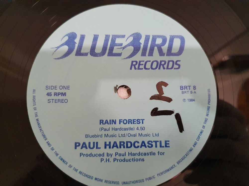 Paul Hardcastle – Rain Forest (Gebraucht) in für CHF 8 – mit Lieferung ...
