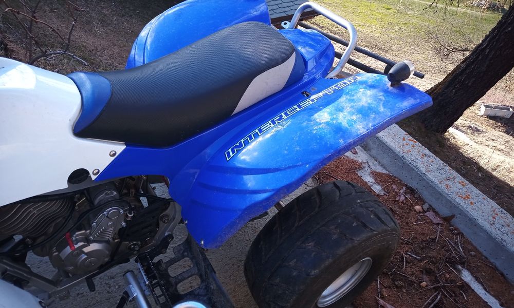 Adly 300 Interceptor | Acheter sur Ricardo