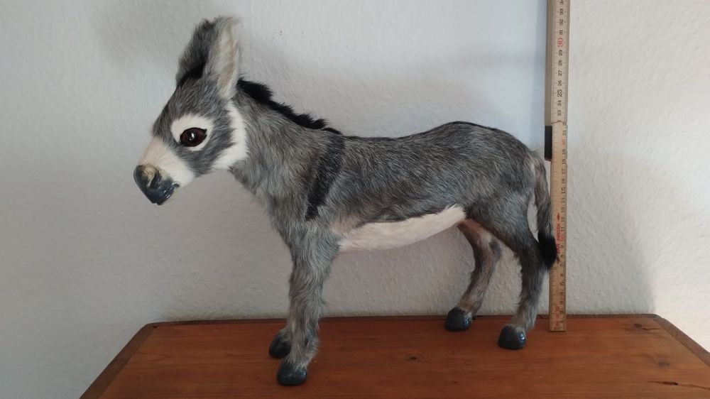 Echtfell Krippentier Esel (Neu (gemäss Beschreibung)) in Bern für CHF ...