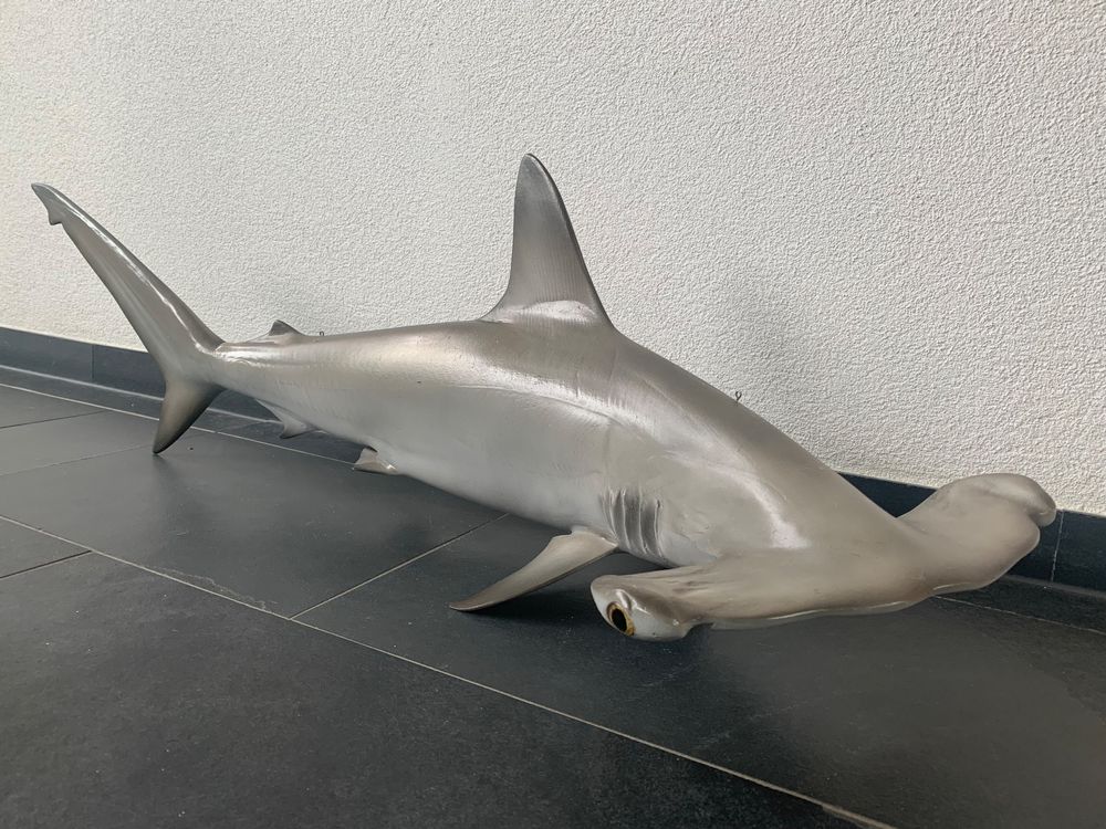Hammer Hai Fisch Model - Einzelanfertigung (Neu (gemäss Beschreibung ...