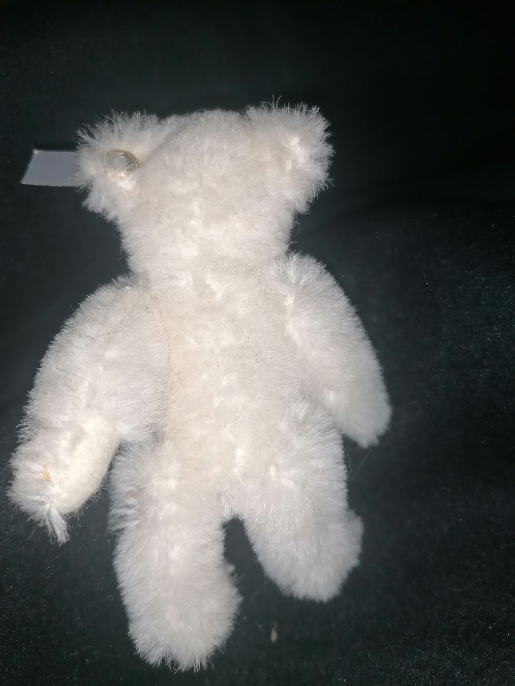Steiff Teddy, Knopf im Ohr, Weiss, Vintage, Rarität! (51) (Gebraucht ...