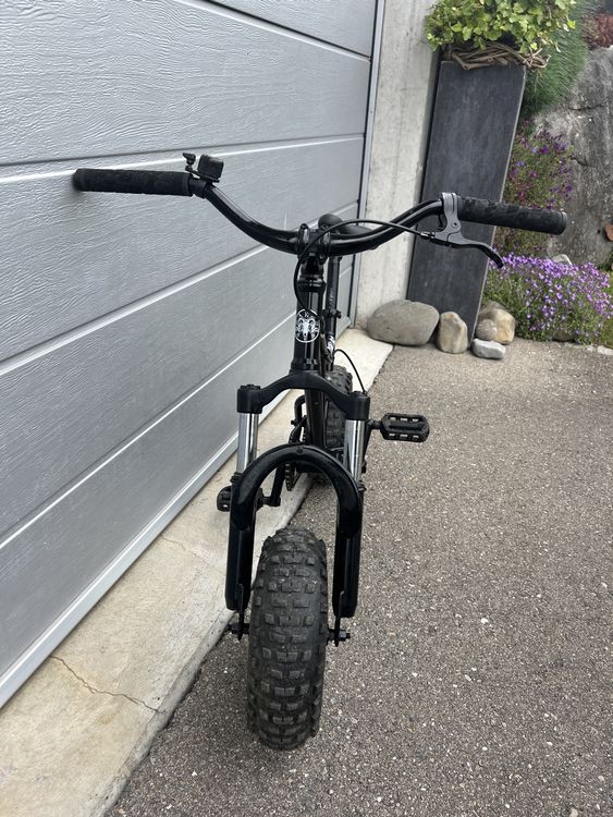 Mini Rig Bike Downhill MTB (Gebraucht) in Krummenau für CHF 50 – nur ...