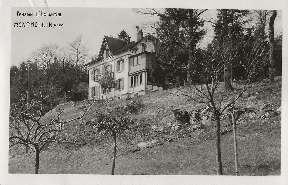 Montmollin,Val-de-Ruz, Echtfoto | Acheter sur Ricardo