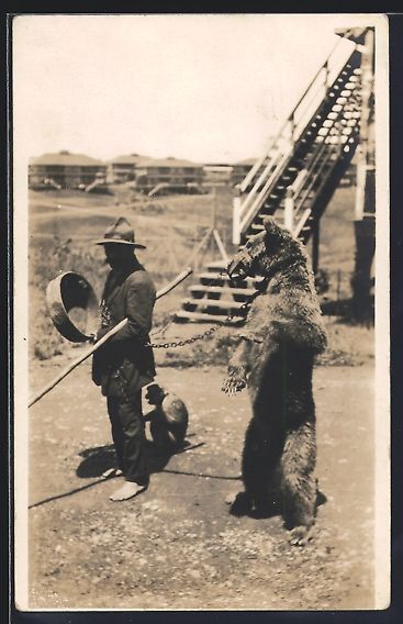 Foto-AK Mann mit Tanzbär und Affe, Dres (Gebraucht) in Berlin für CHF 28 – mit Lieferung auf ...