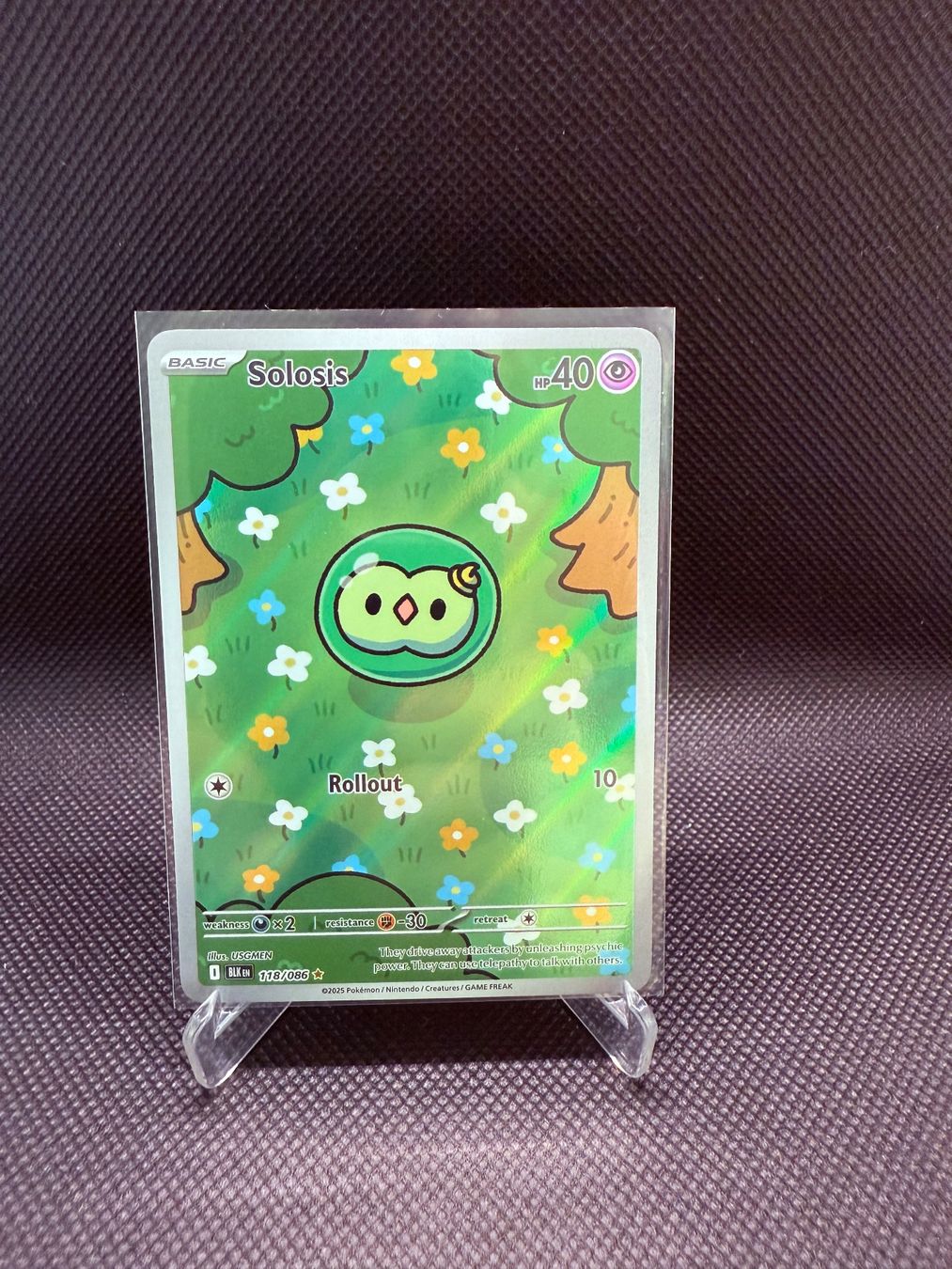 Pokemon Black Bolt - Solosis Illustration Rare 118/086 (Gebraucht) in Horn für CHF 9.5 – mit ...