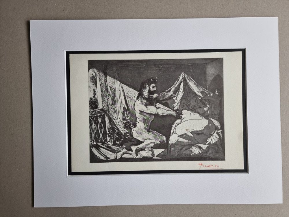 Pablo Picasso // ref.schw.map.1 (Gebraucht) in Gersau für CHF 50 – mit Lieferung auf Ricardo kaufen