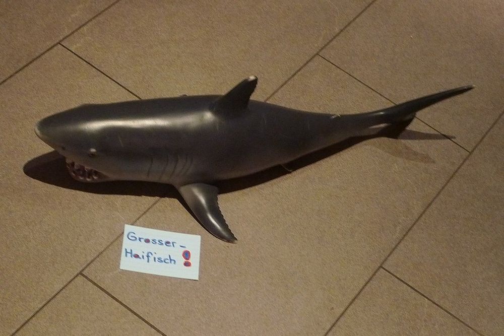 Grosser-Haifisch! (Gebraucht) in Bern für CHF 35 – nur Abholung auf ...