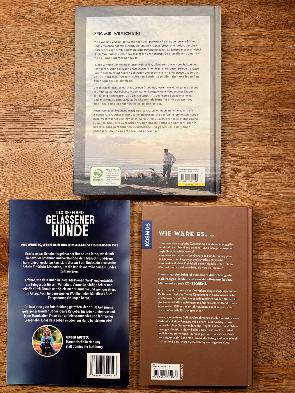 6 Bücher über Hundeerziehung u.a. Martin Rütter, André Vogt (Gebraucht ...