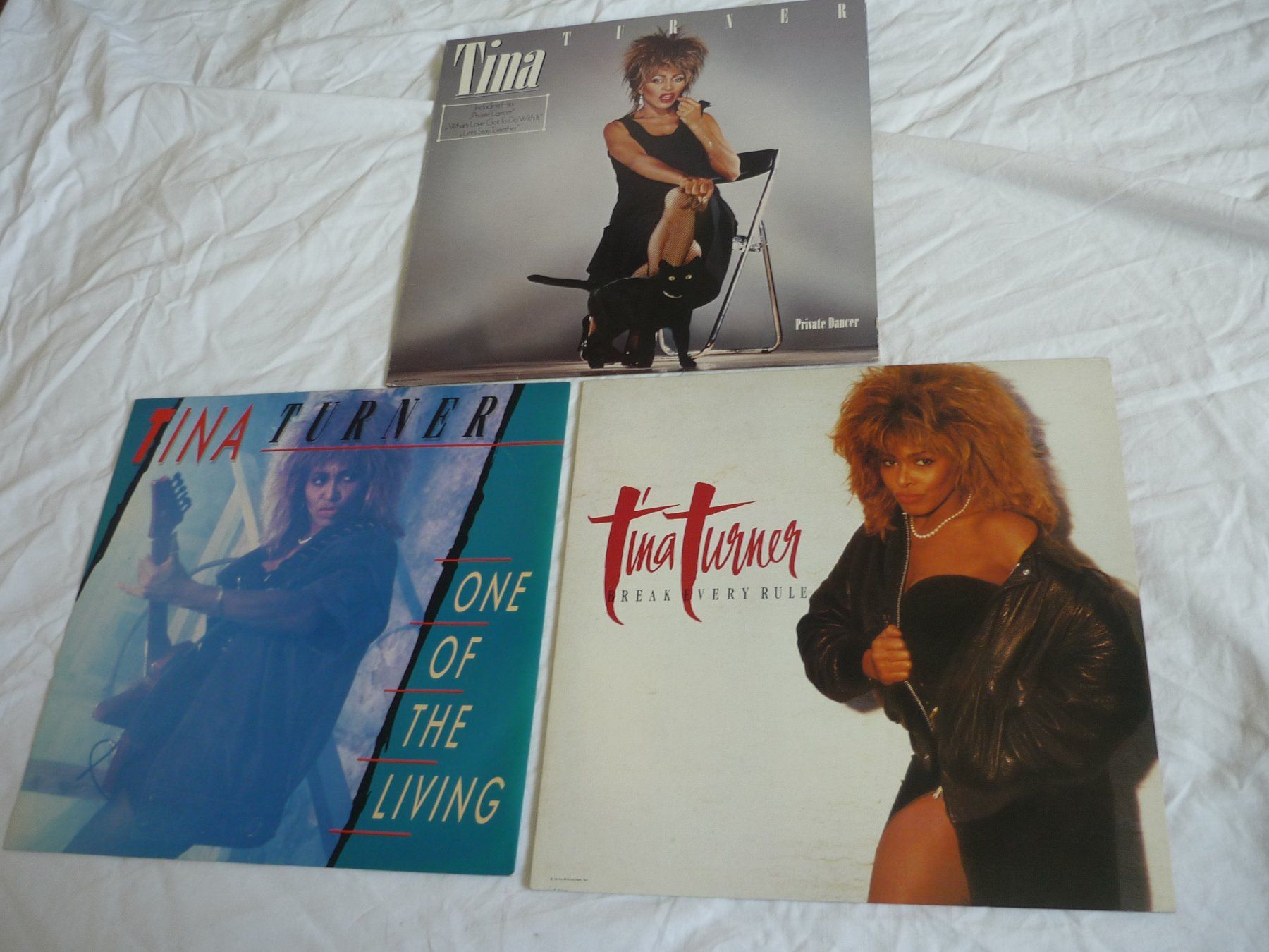 3x Vinyl 80s - Tina Turner - private dancer break every one (Gebraucht ...