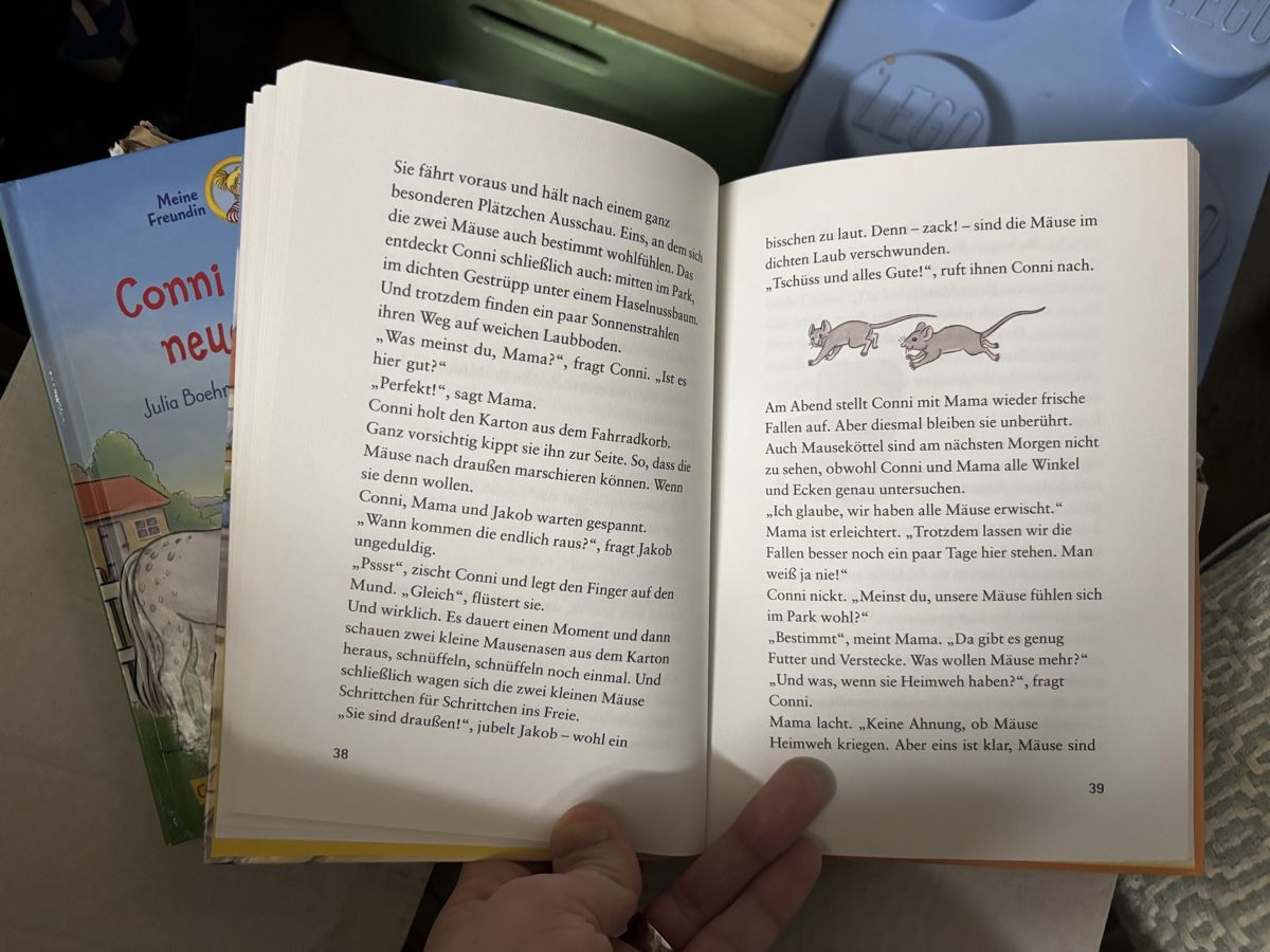 Conni Bücher Set: "Conni und das neue Fohlen" & Schatzsuche (Gebraucht ...