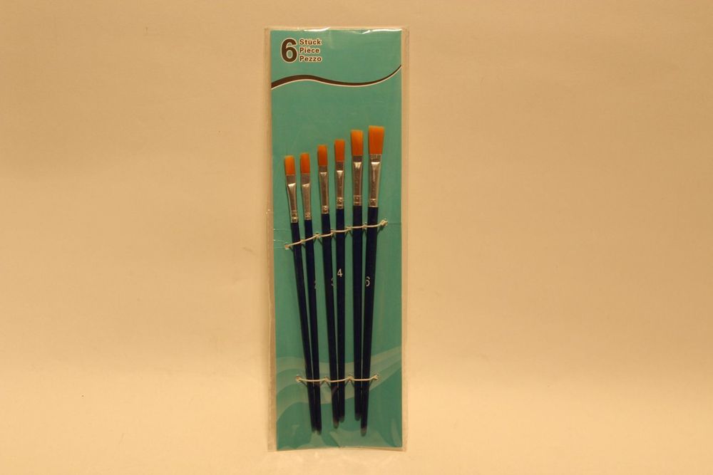 Pinsel Set 6-teilig, flach (Neu und originalverpackt) in Fehraltorf für ...