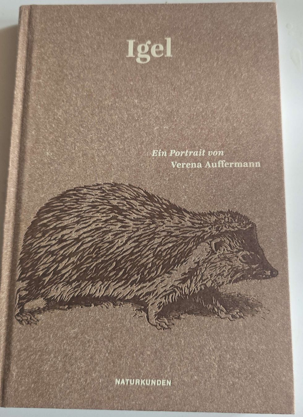 Igel - Ein Portrait von Verena Auffermann, Top Zustand! (Gebraucht) in ...