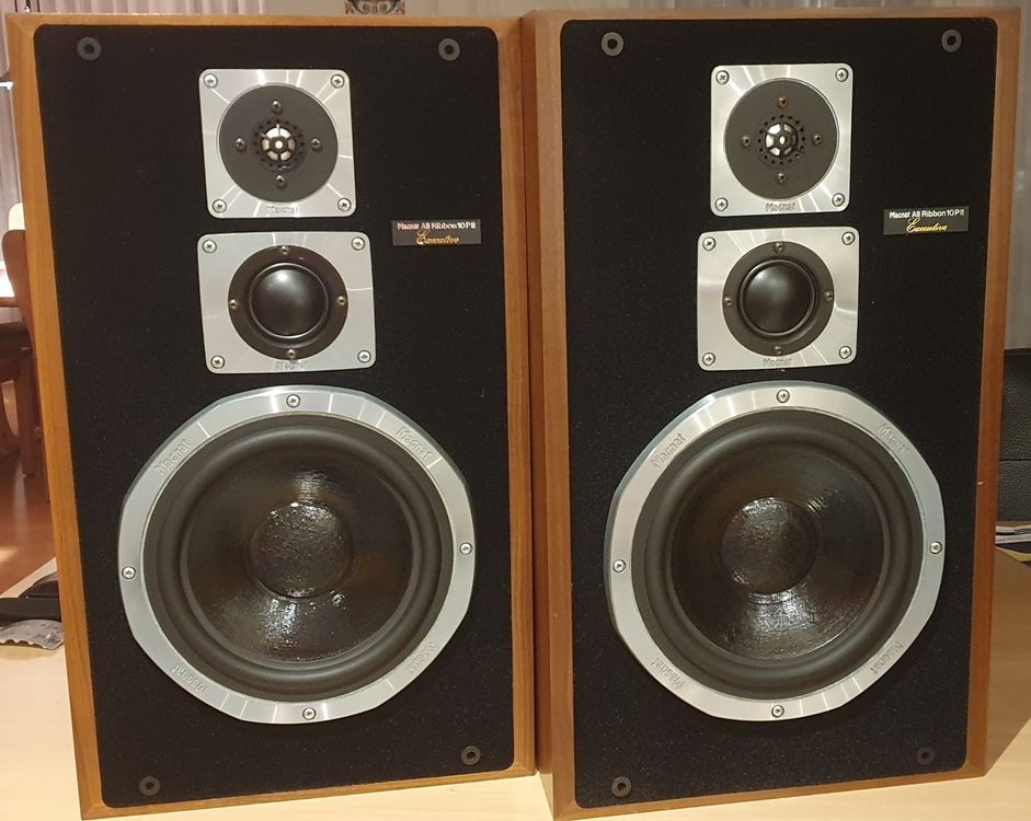 Magnat All Ribbon 10PII Executive high-end HiFi Lautsprecher (Gebraucht ...