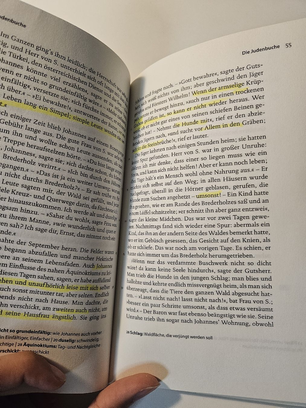 Annette von Droste-Hülshoff - Die Judenbuche, Reclam (Gebraucht) in ...