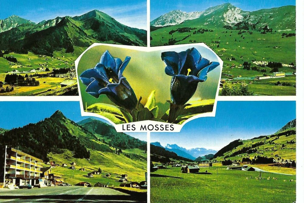 LES MOSSES 1973; 4-Bilder-Karte; Marke Weltmeisterschaften (Gebraucht ...