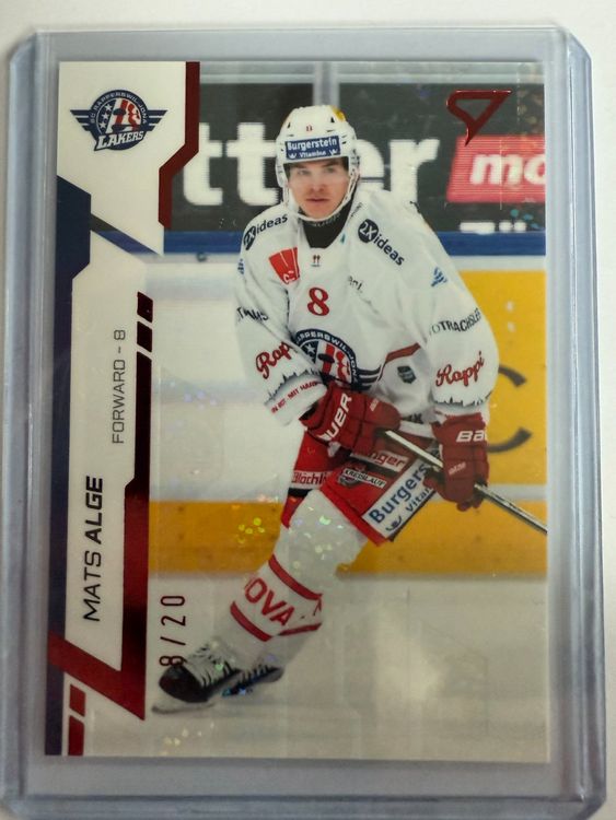 MATS ALGE - /20 - SC Rapperswil Lakers - Sportzoo (Gebraucht) in ...