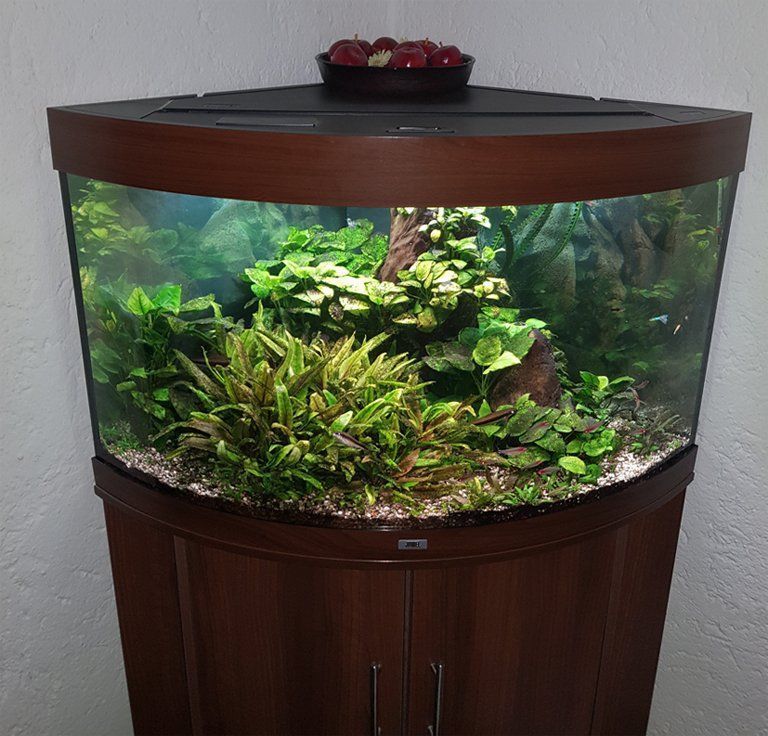 Aquarium Trigon 190 / Eckaquarium (Gebraucht) in Zürich für CHF 290 ...
