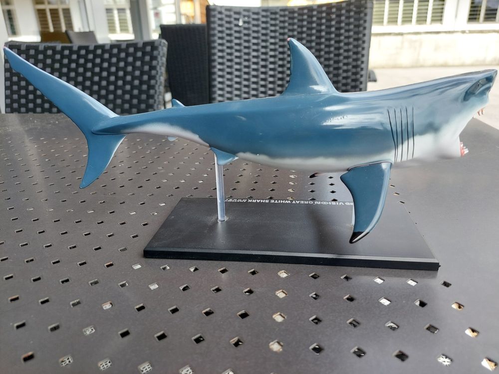 4D VISION - GREAT WHITE SHARK - ANATOMY MODEL | Kaufen auf Ricardo