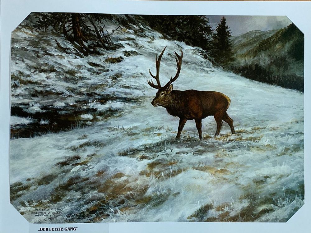 Hubert Weidinger (1951) Mappe mit 12 imposanten Bildern (Gebraucht) in ...