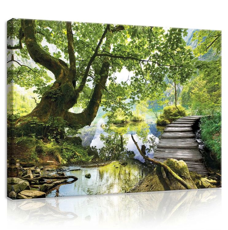 + Leinwandbild Bilder Wandbilder XXL Wald Landschaft 40x40 (Neu und originalverpackt) in ...