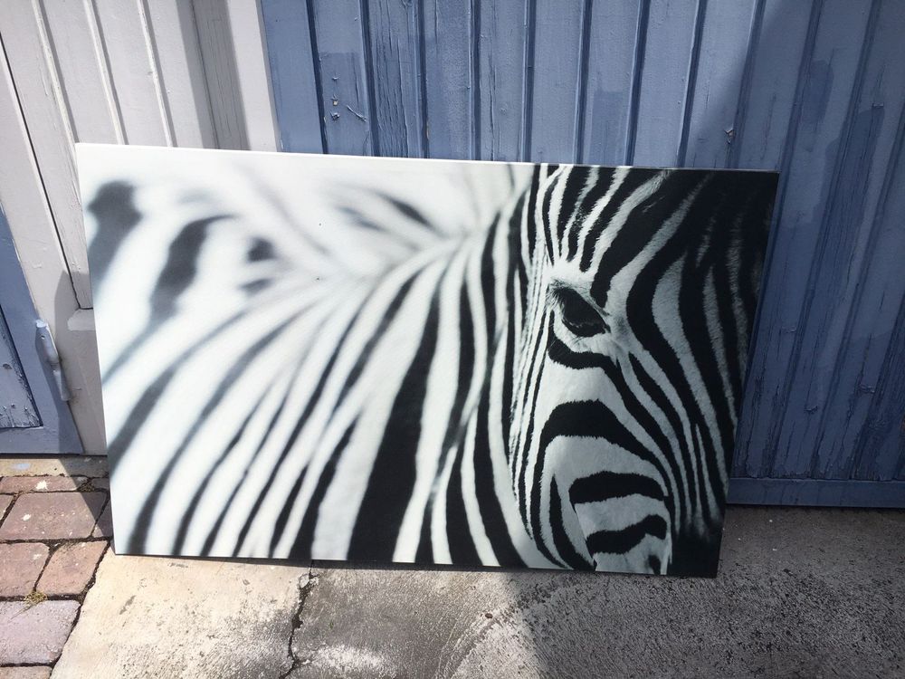 IKEA Zebra Bild | Kaufen auf Ricardo